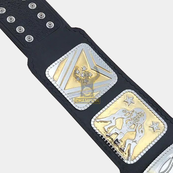 NWA World Six-Man Tag Team Heavyweight Championship Belt